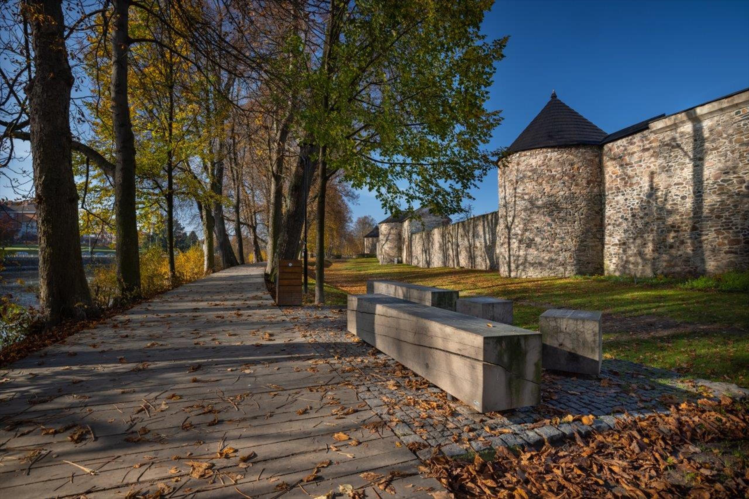 Město Polička - Oficiální stránky města